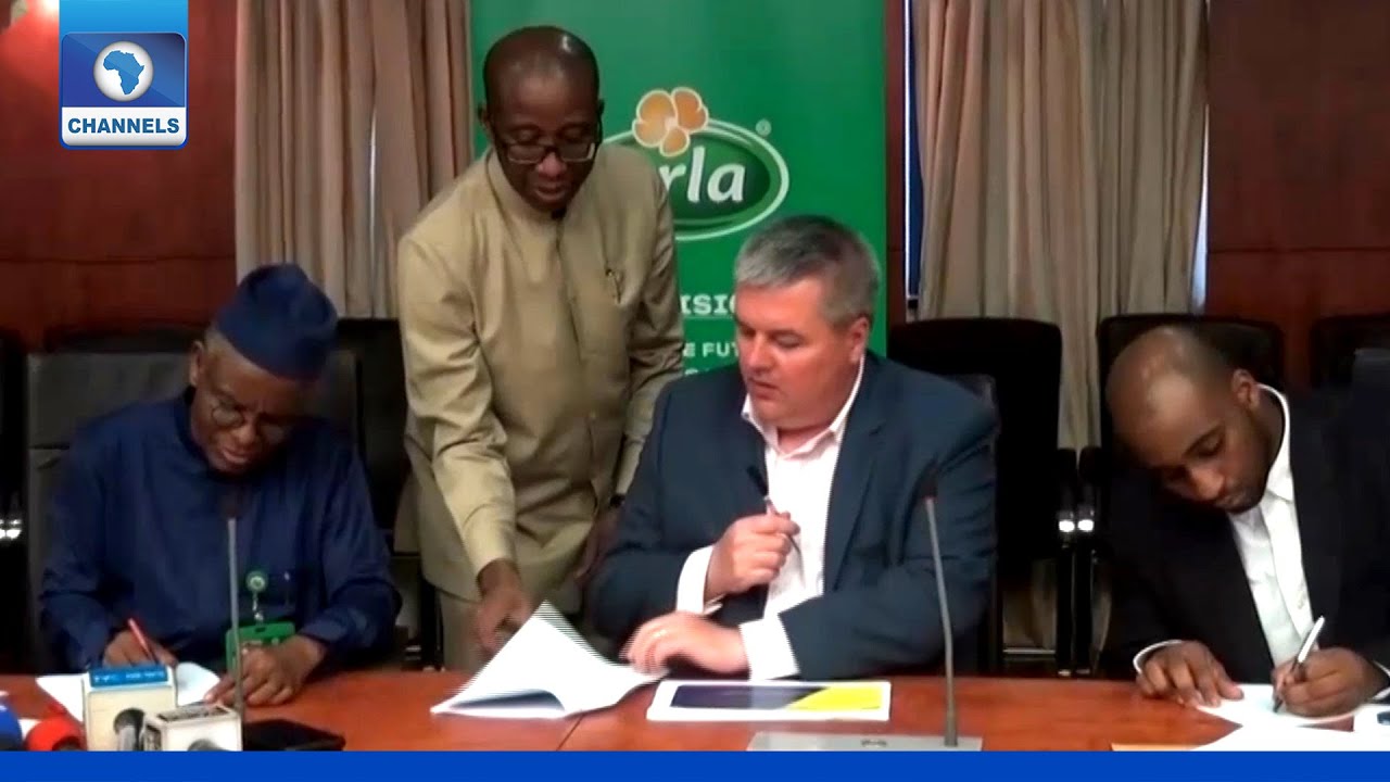 Kaduna Govt, Miyetti Allah Partner To Establish Cattle Ranch - YouTube