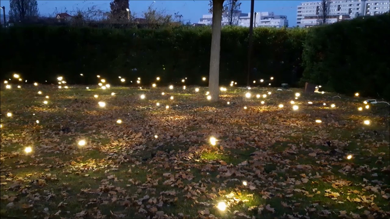 Fireflies field Iulius Park, Cluj-Napoca. - YouTube