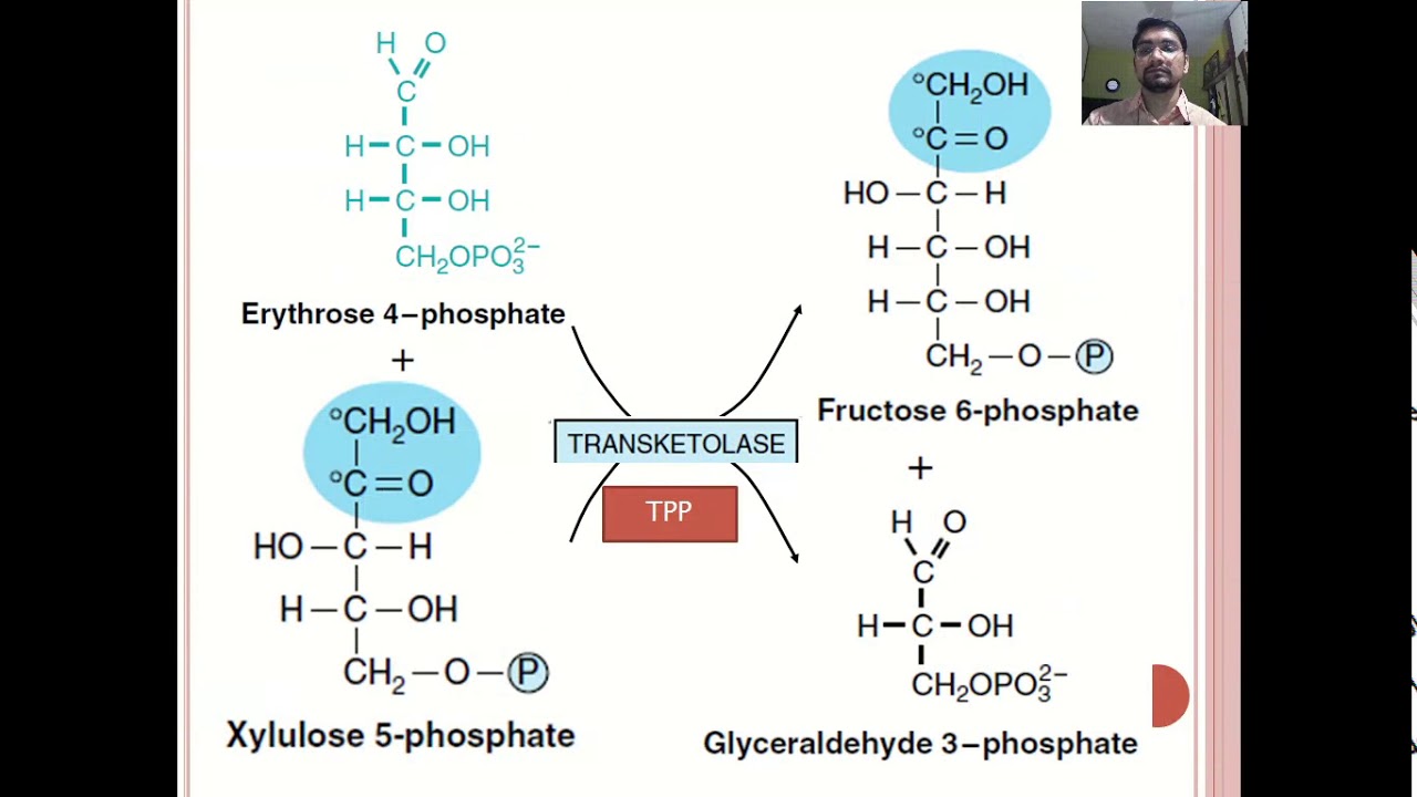 HMP Shunt pathway (Hexose Mono Phosphate Shunt) - YouTube