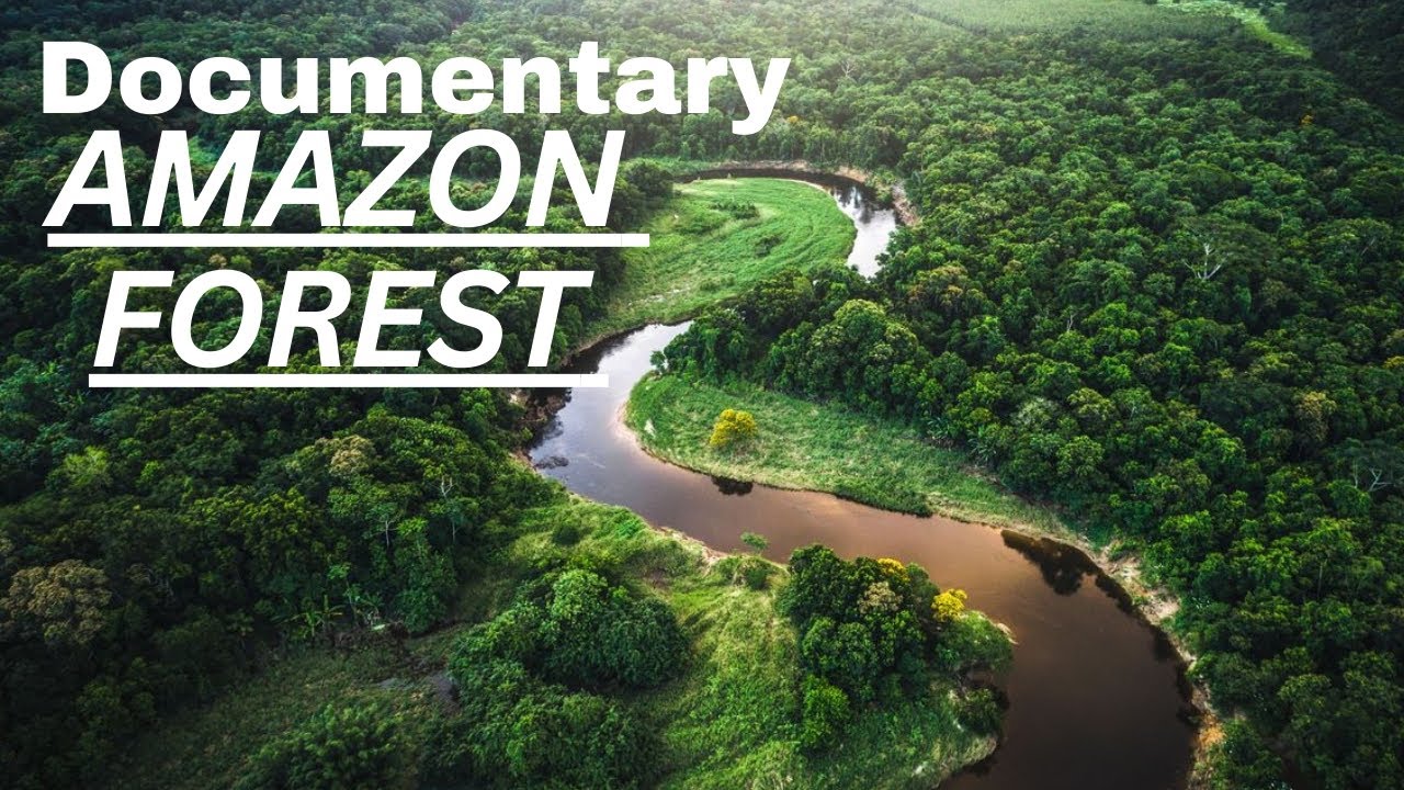 Documentary of Amazon Forest | History And Fact of Amazon Forest | SM ...