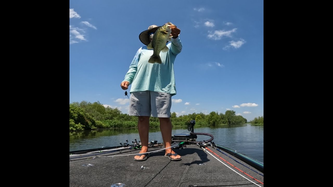 Shad Crack loving BASS! 🎣😁 - YouTube
