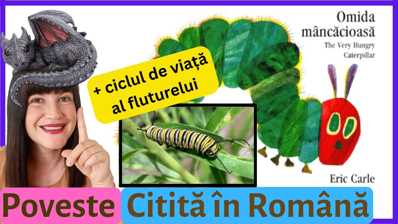OMIDA MANCACIOASA de Eric Carle | Ciclul de viata al fluturelui ...