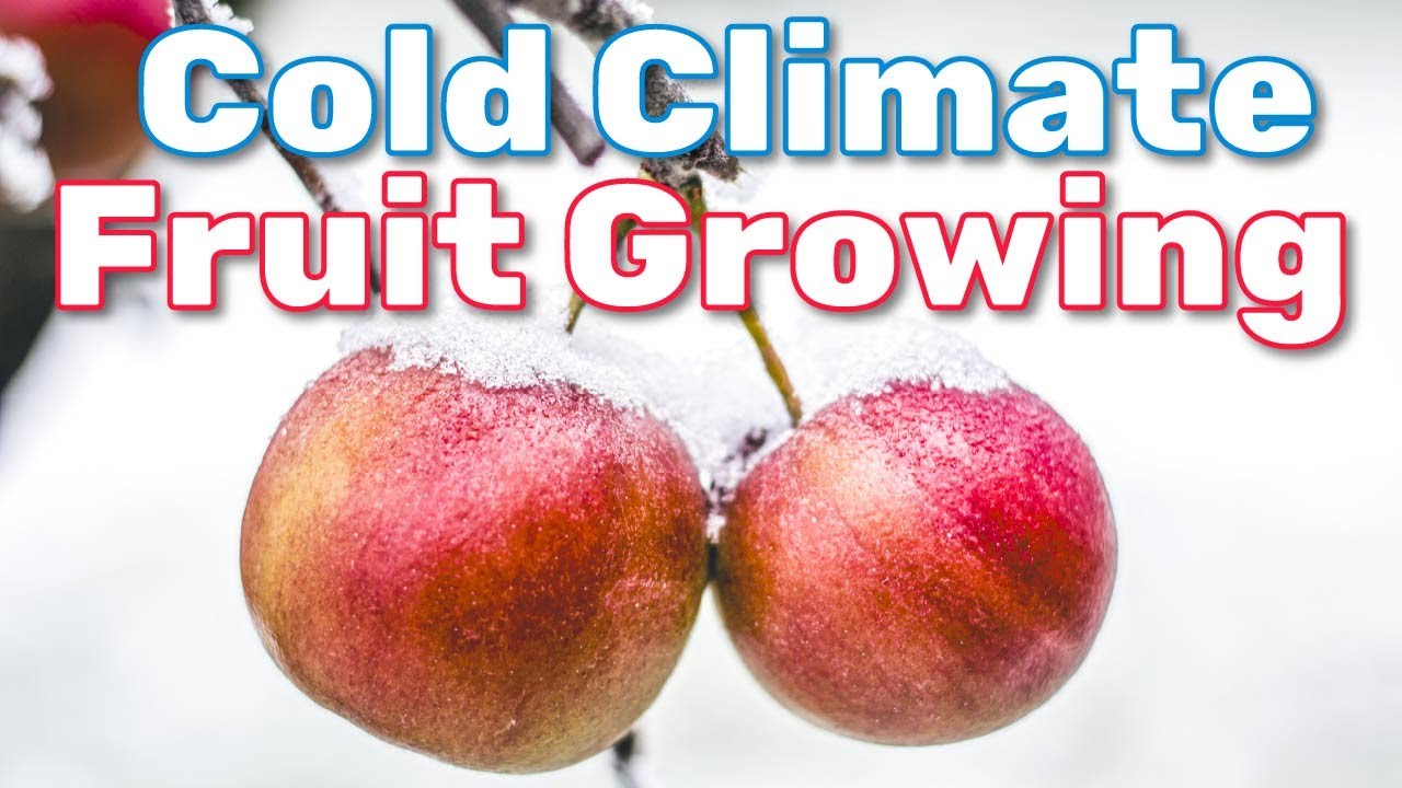 The Science of Cold Climate Fruit Growing: Climate, Genetics ...