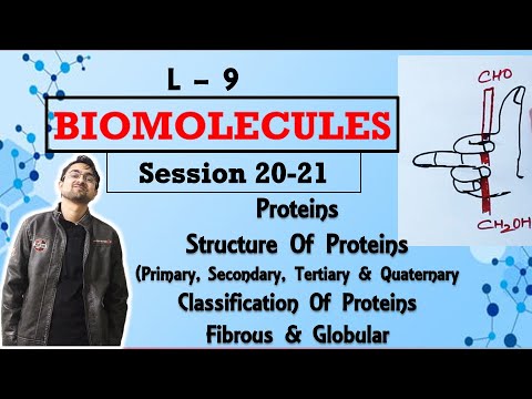 BIOMOLECULES | Class 12 | Structure & Classification Of Proteins | L ...