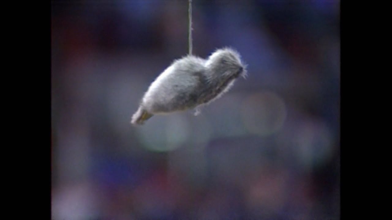 The (craft) seal kick at the Northern Games - YouTube