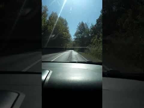 Bartın Karabük yolu agac tuneli