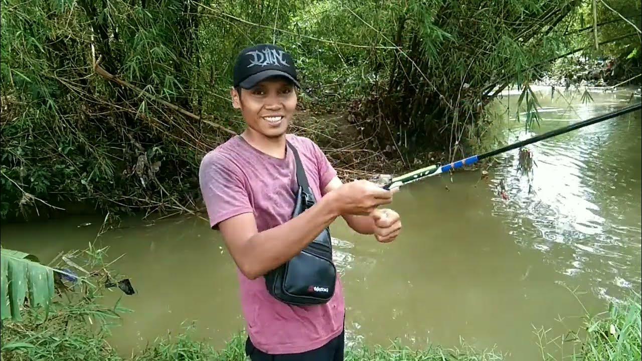 Mancing Ikan Tawes Umpan Lumut Di Air Keruh - YouTube
