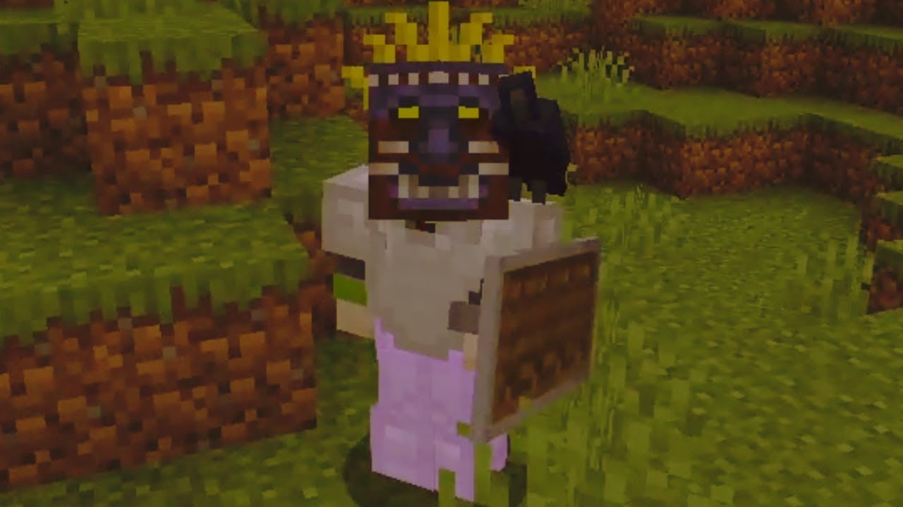 Philza gets a Crow Friend on the QSMP - YouTube