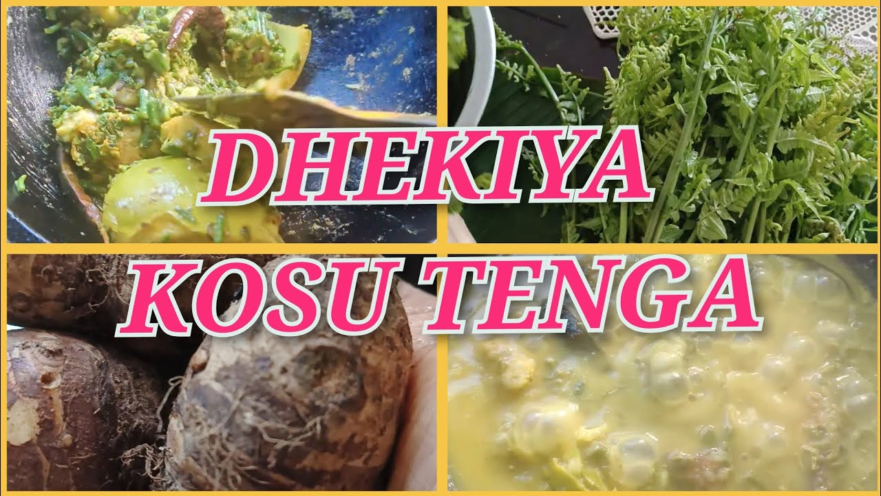 DHEKIYA KOSU TENGA|CHAITANNYA VLOGS|2025 - YouTube