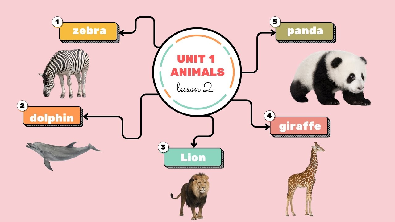 Tiếng Anh 4 - English 4 - Smart Start - Unit 1 : Animals - Lesson 2 ...
