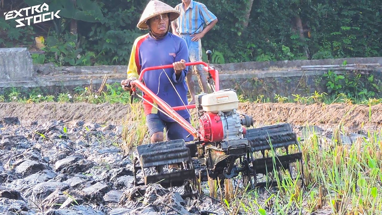 Traktor Quick Capung Metal! Traktor Sawah Mini Bekerja Di Lahan Berbatu ...