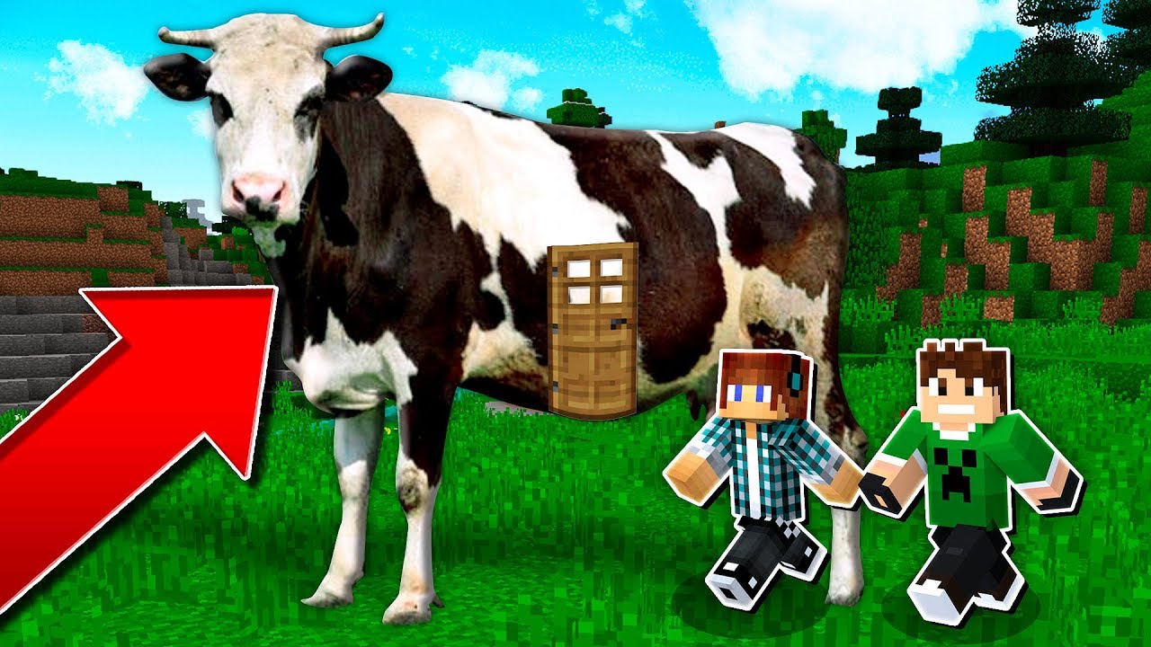 ENTRAMOS EM UMA VACA NO MINECRAFT !! - YouTube