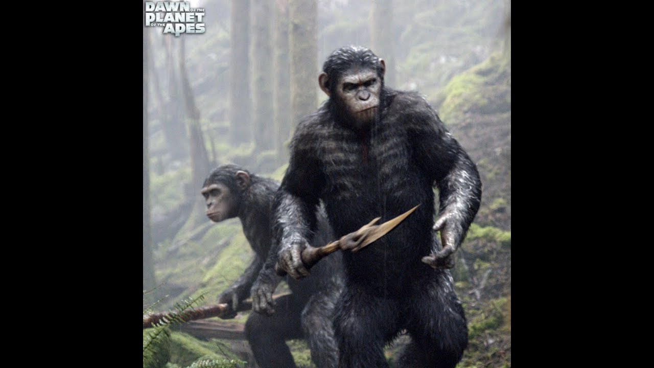 Ardipithecus - YouTube