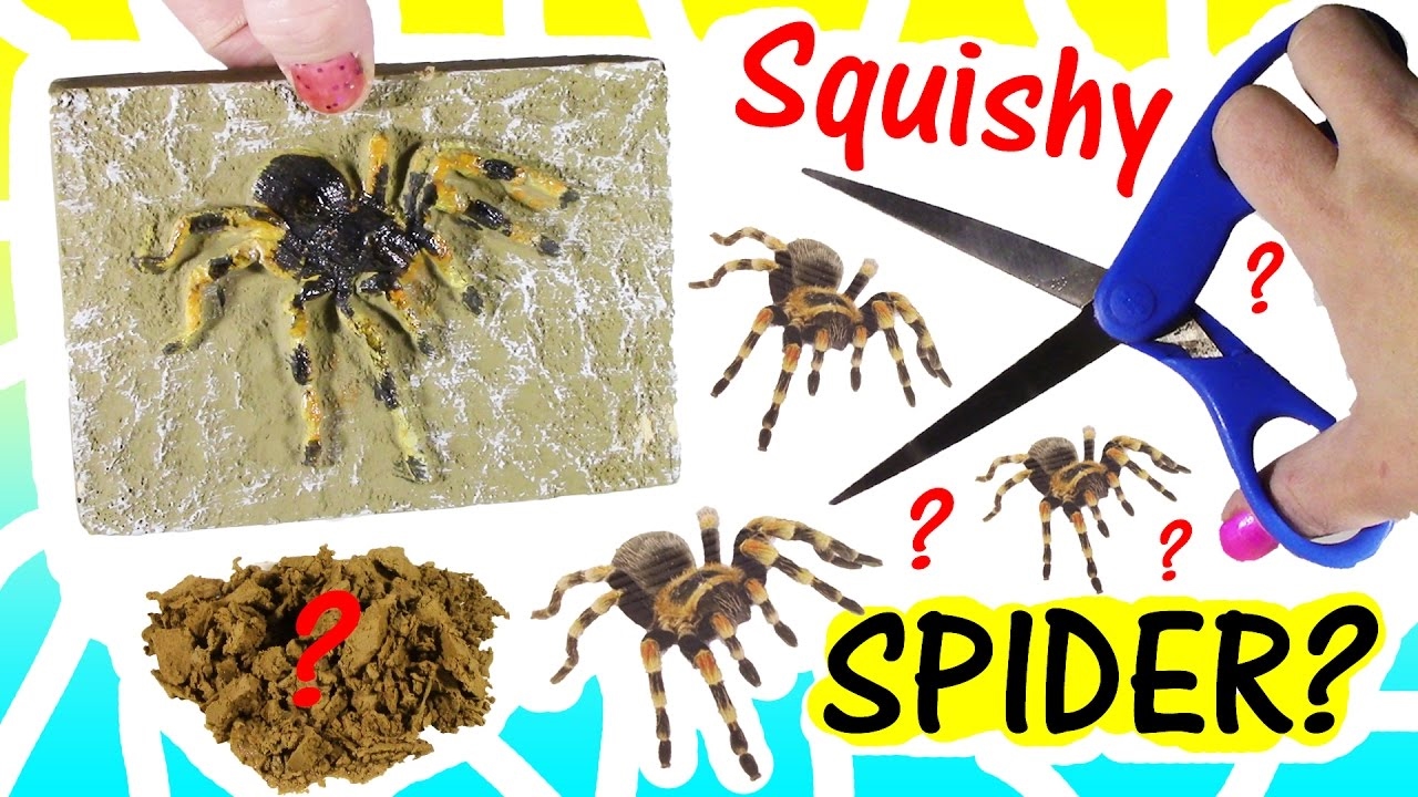 Cutting OPEN Squishy SPIDER! What's Inside? Huge Spider DIG IT BAR! Was ...