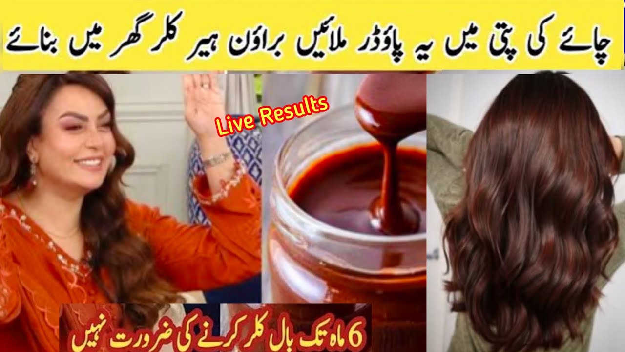 Dark Brown Hair Colour Chocolate Brown Colour at Home Grey Coverage Hair 100% Results Dark Brown ...