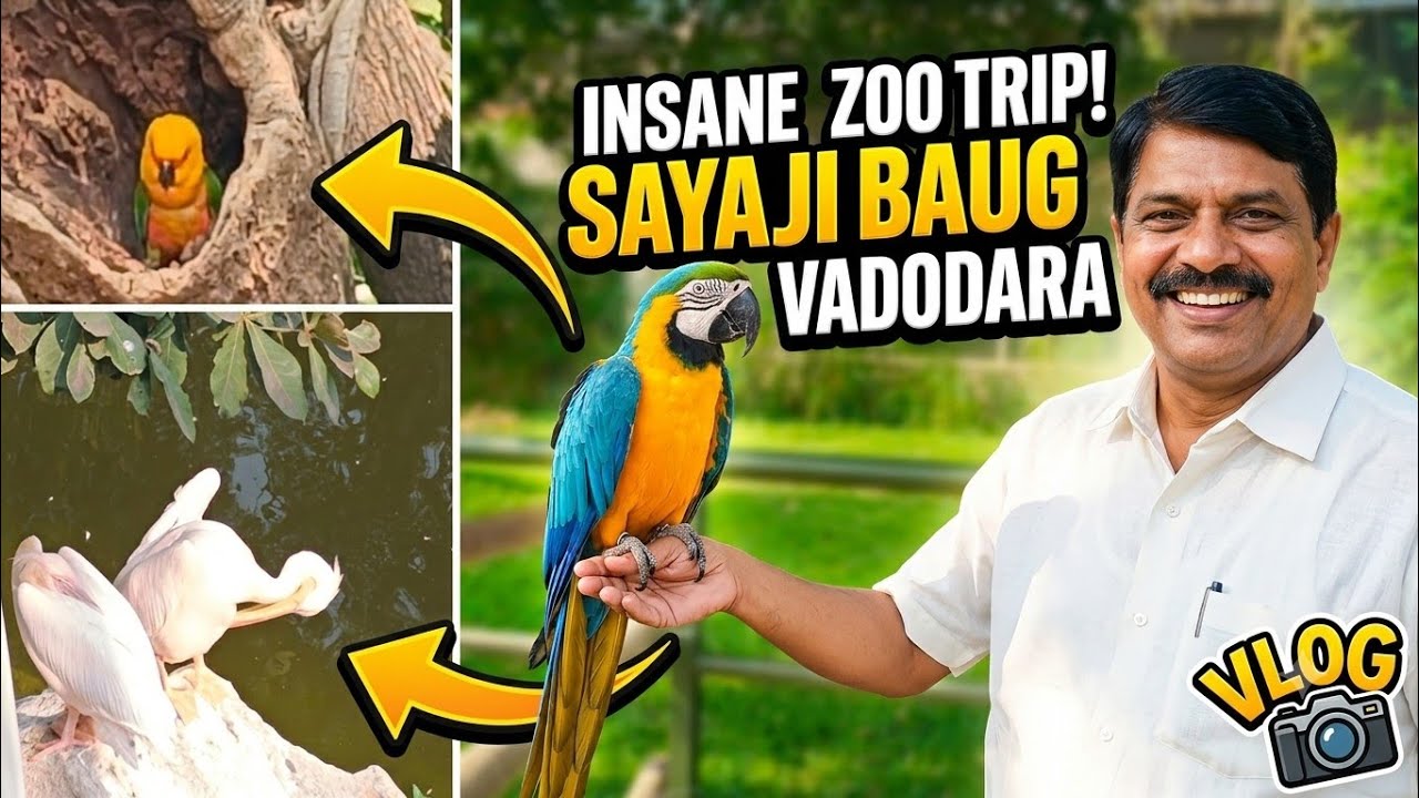 Sayaji Baug Vadodara l Sayaji Baug Zoo Tour l Kamati Baug Vadodara l ...