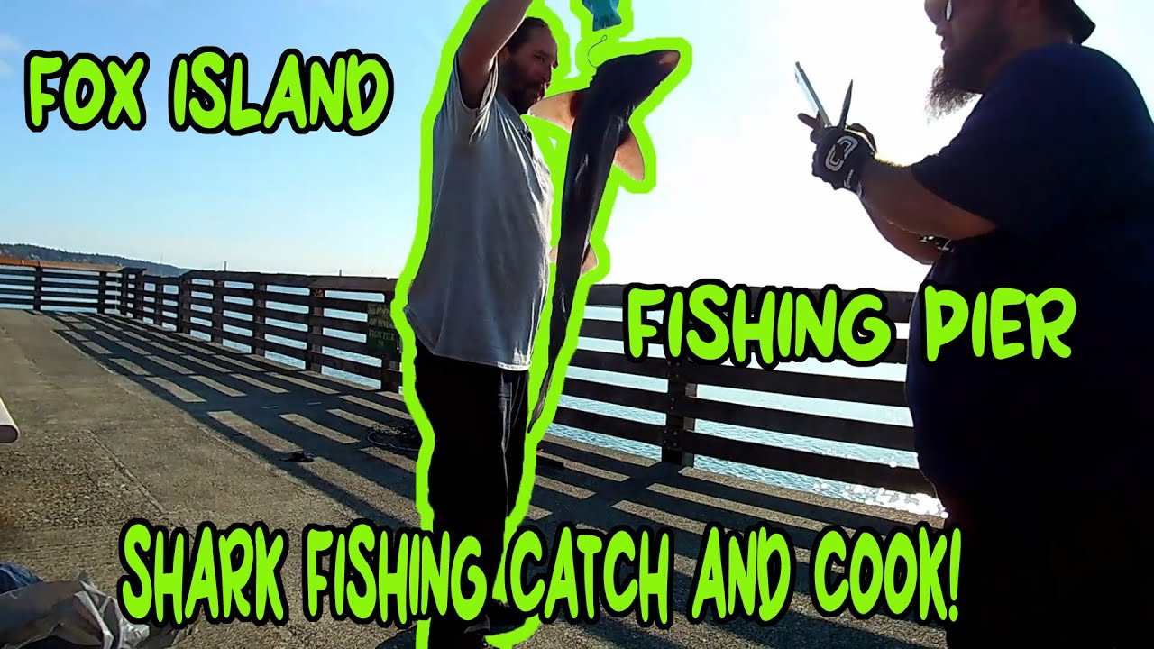 SHARK FISHING at Fox Island fishing pier with PNWTroutSlayer! Catch and ...