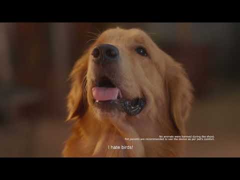 Forbes Buddy Pet Grooming Kit