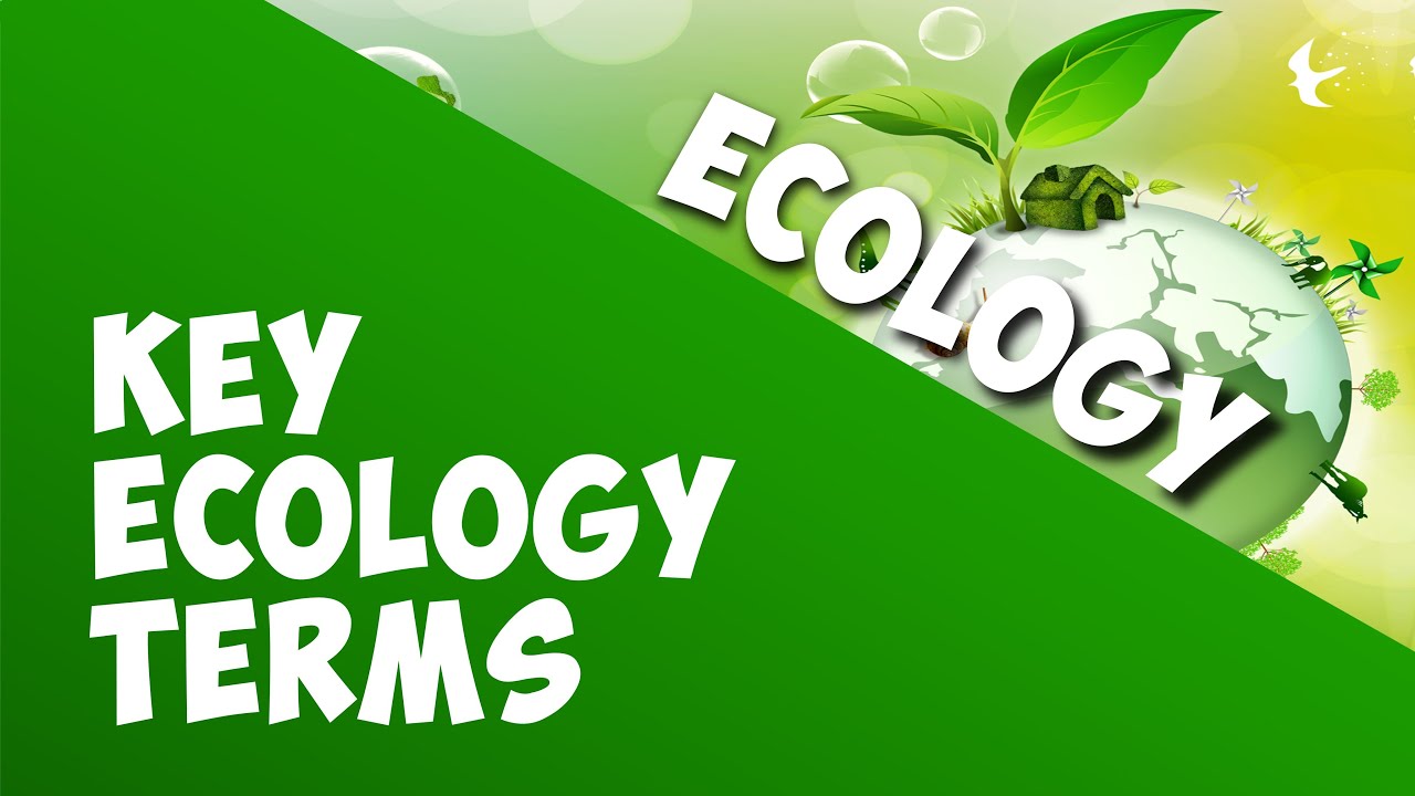 Key Ecology Terms | Ecology and Environment | Biology | AddyESchool ...