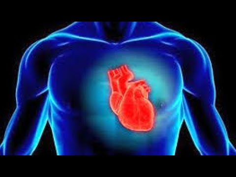 🔺CHOC CARDIOGENIQUE 2 / mecanismes compensateurs et les signes ...