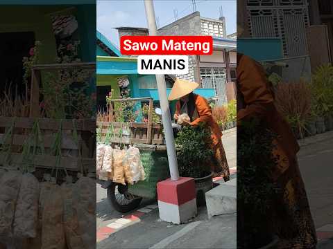 Sawo Mateng Manis #buah #makanbuah #lucu #buahbuahansegar