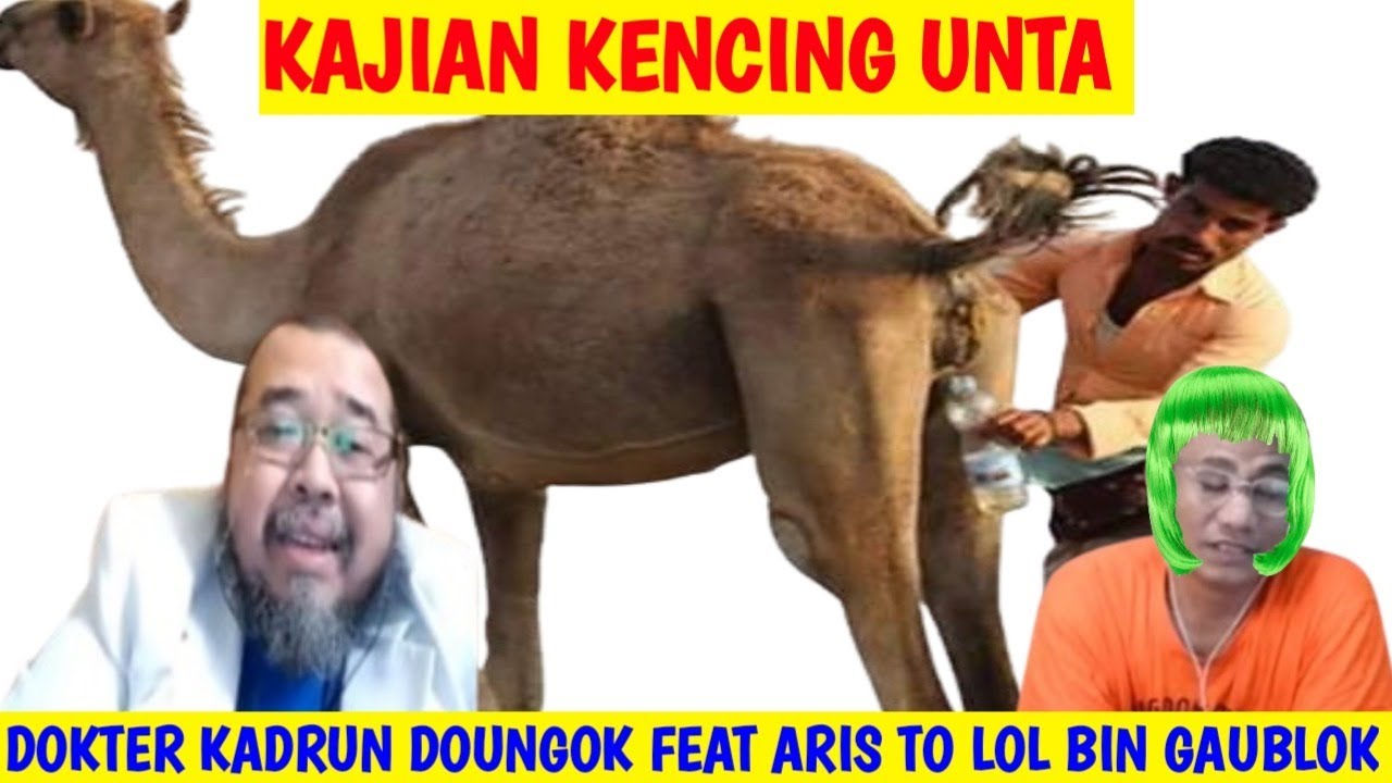 🔴LIVE....KAJIAN "KENCING UNTA" OLEH DOKTER DAUNGOK BERSAMA ARIS TO LOL ...