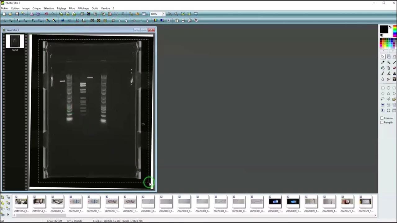 Pré traiter une image avec Photofiltre 7 pour une exploitation avec ImageJ - YouTube