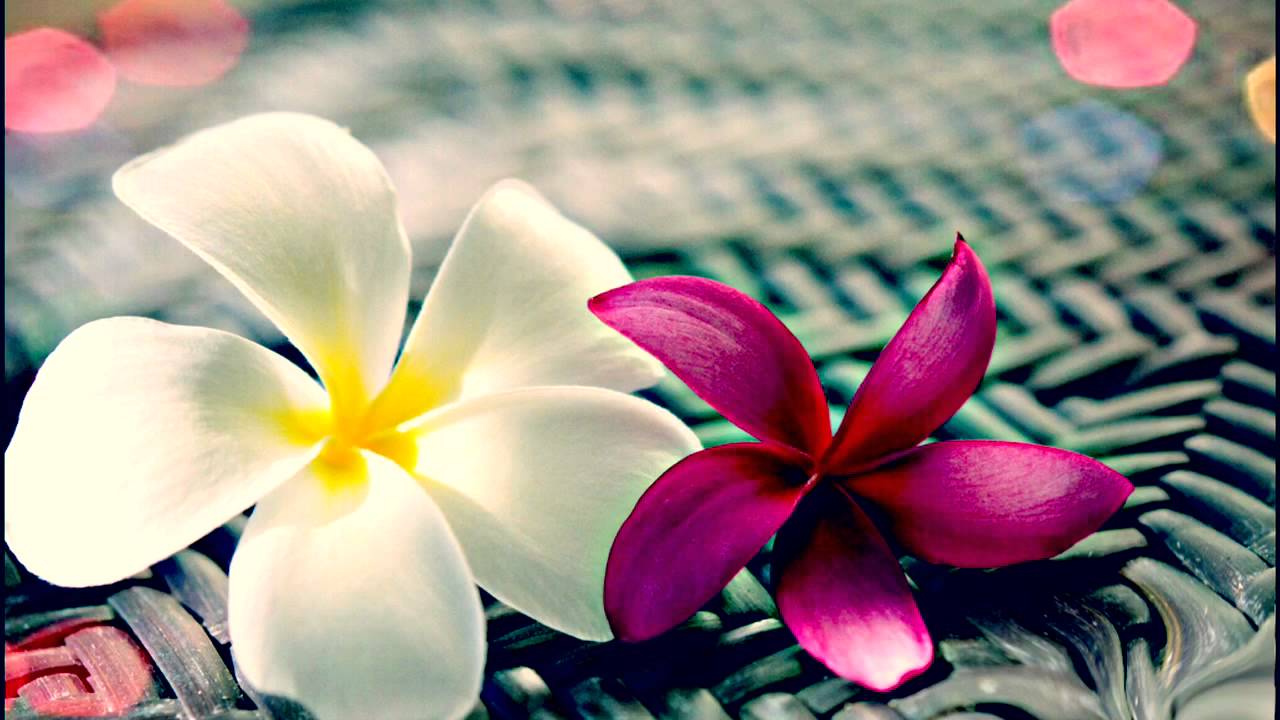 Hopoi Vou ( Tonga Song ) Valentine Day 💓 - YouTube