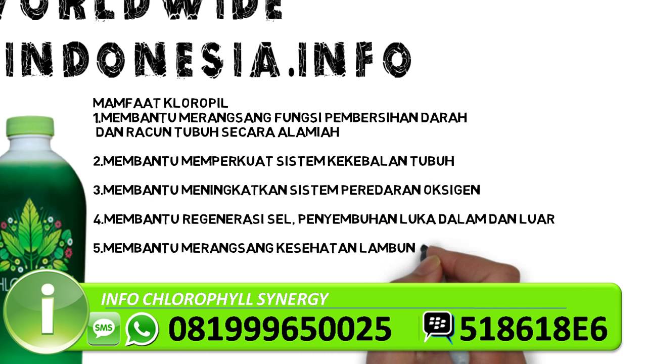 087756112088 | Trulum skincare | Liquid Chlorophyll Synergy Manfaat Dan ...