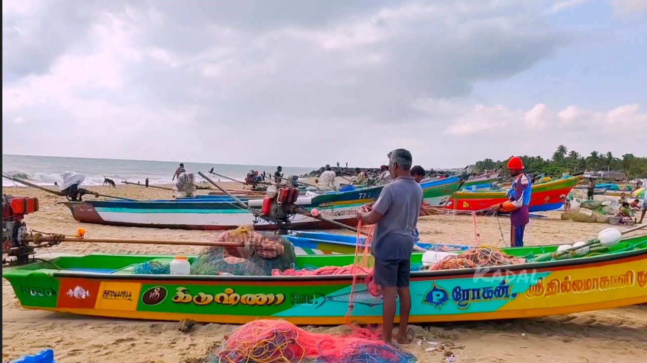 pondicherry fresh live fish selling | serenity beach in Pondicherry ...