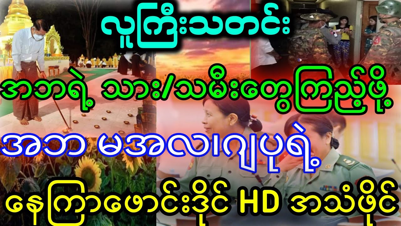 မအလရဲ့ နေကြာဖောင်းဒိုင်း ဝင်ကြည့်သွားအုံး Youtube