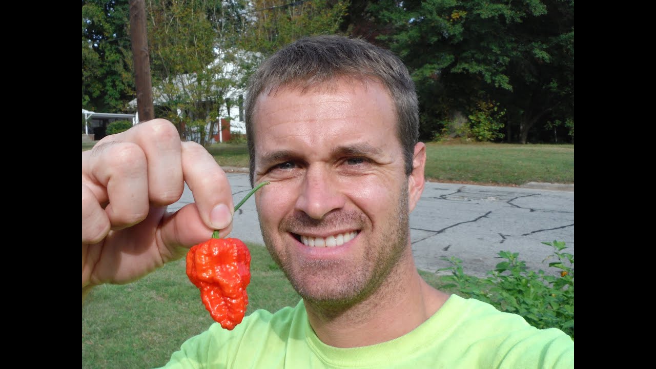 Scott Phillips eats Fatali Jigsaw Hot Pepper - YouTube