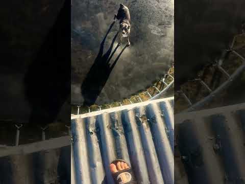 November 22, 2024 - YouTube