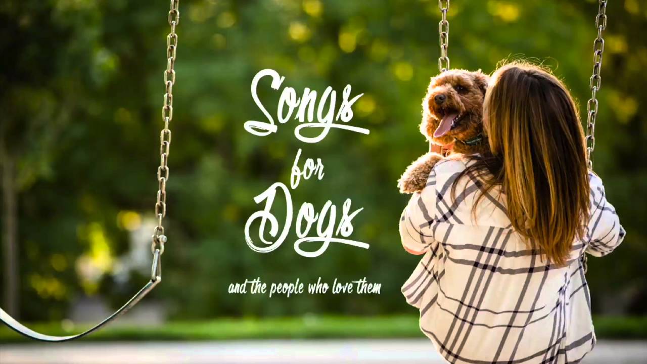 Songs For Dogs Song Sampler YouTube songs-for-dogs-song-sampler-youtube