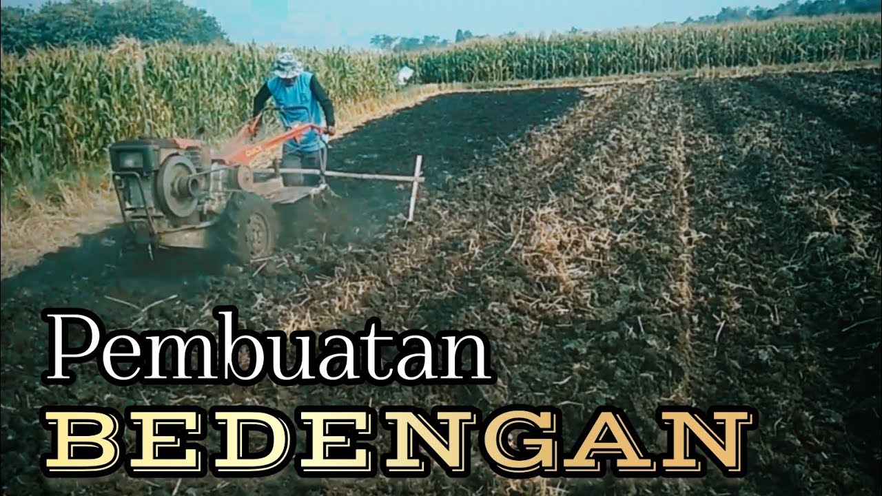 Traktor Sawah Quick Zena Rotary Pembuatan Bedengan Untuk Tanaman ...