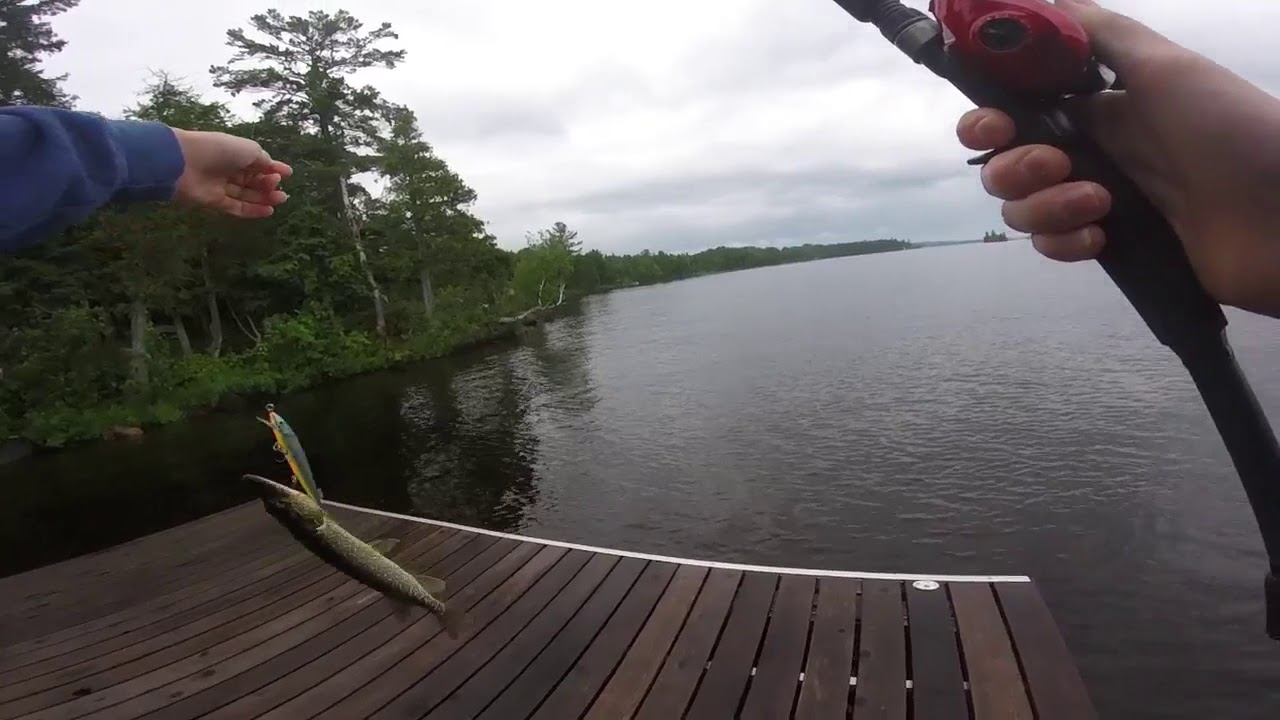 Micro Pike - YouTube