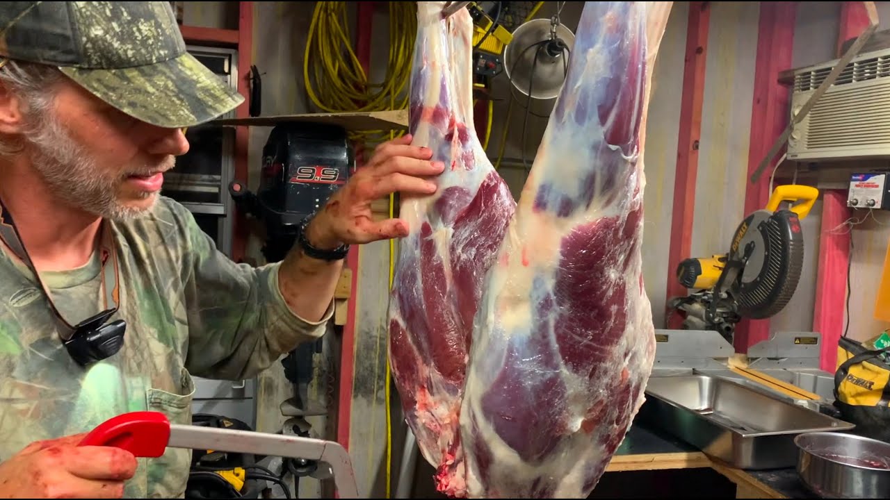 Processing Deer - Part 2: How to Butcher a Deer for Venison - YouTube
