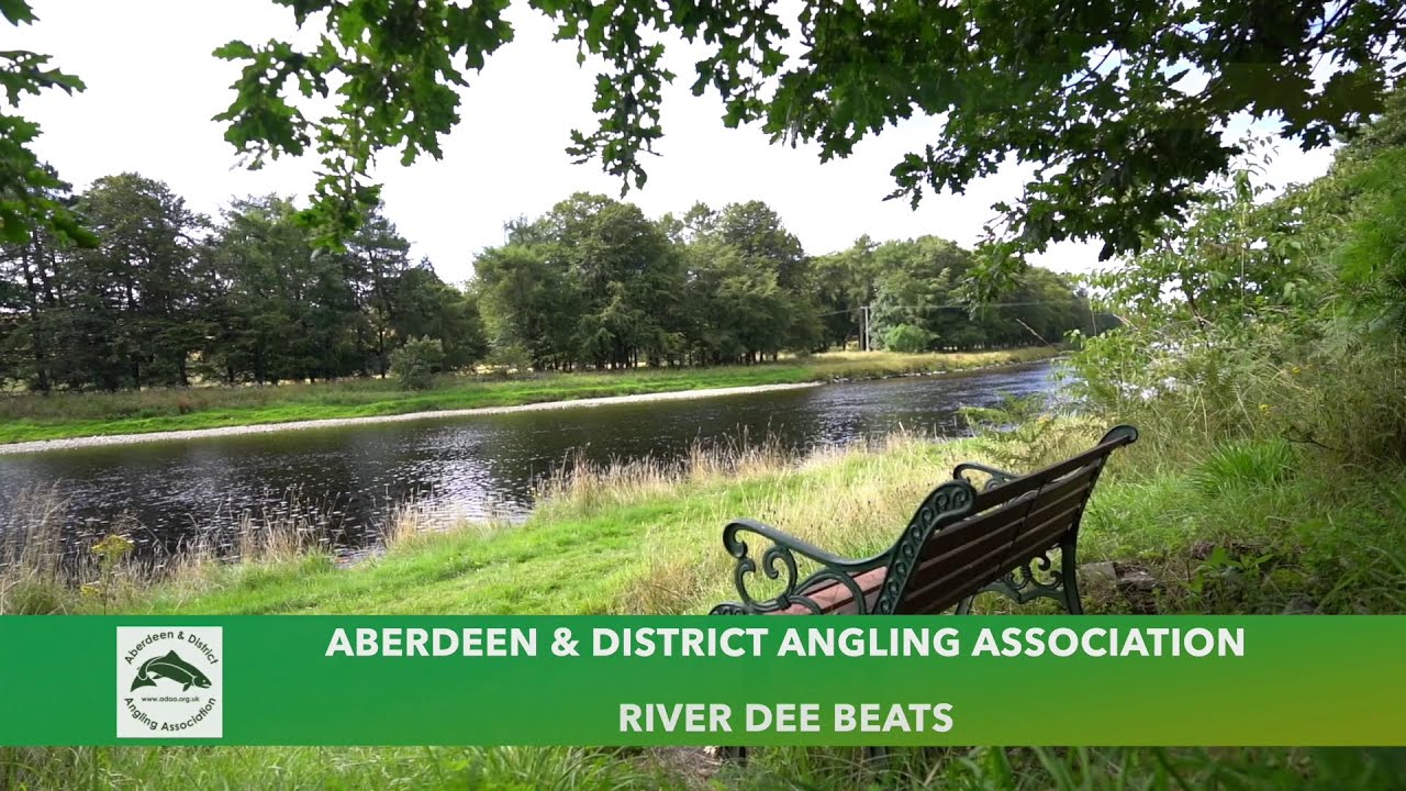 Aberdeen & District Angling Association (ADAA) River Dee Beats - YouTube