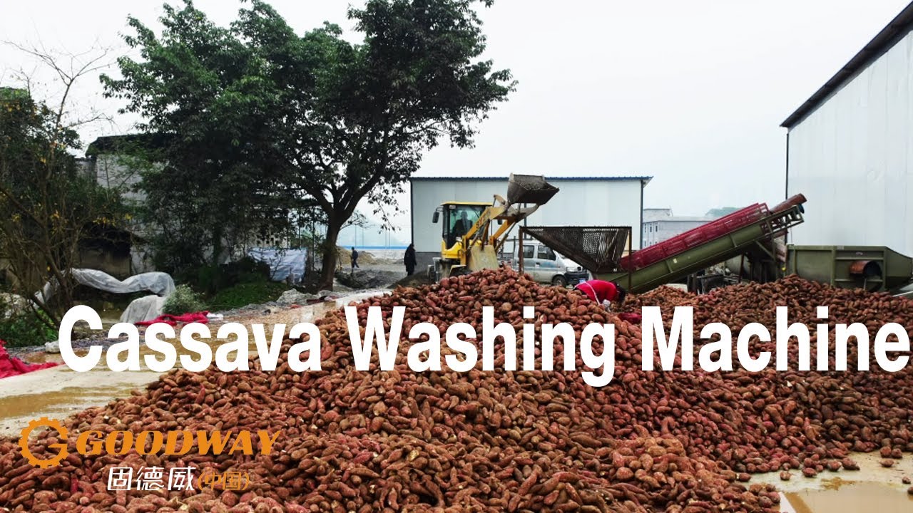 Cassava Washing Machine Cassava Washer - YouTube