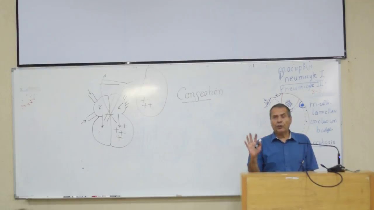 Module C / Histology of the lung functional unit Part 2 - YouTube