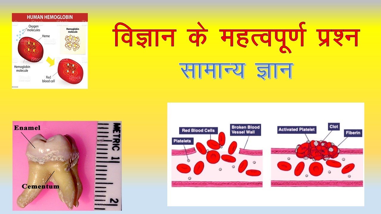 General Science by Knowledgepoint | 10 Important Questions (Part-4 ...