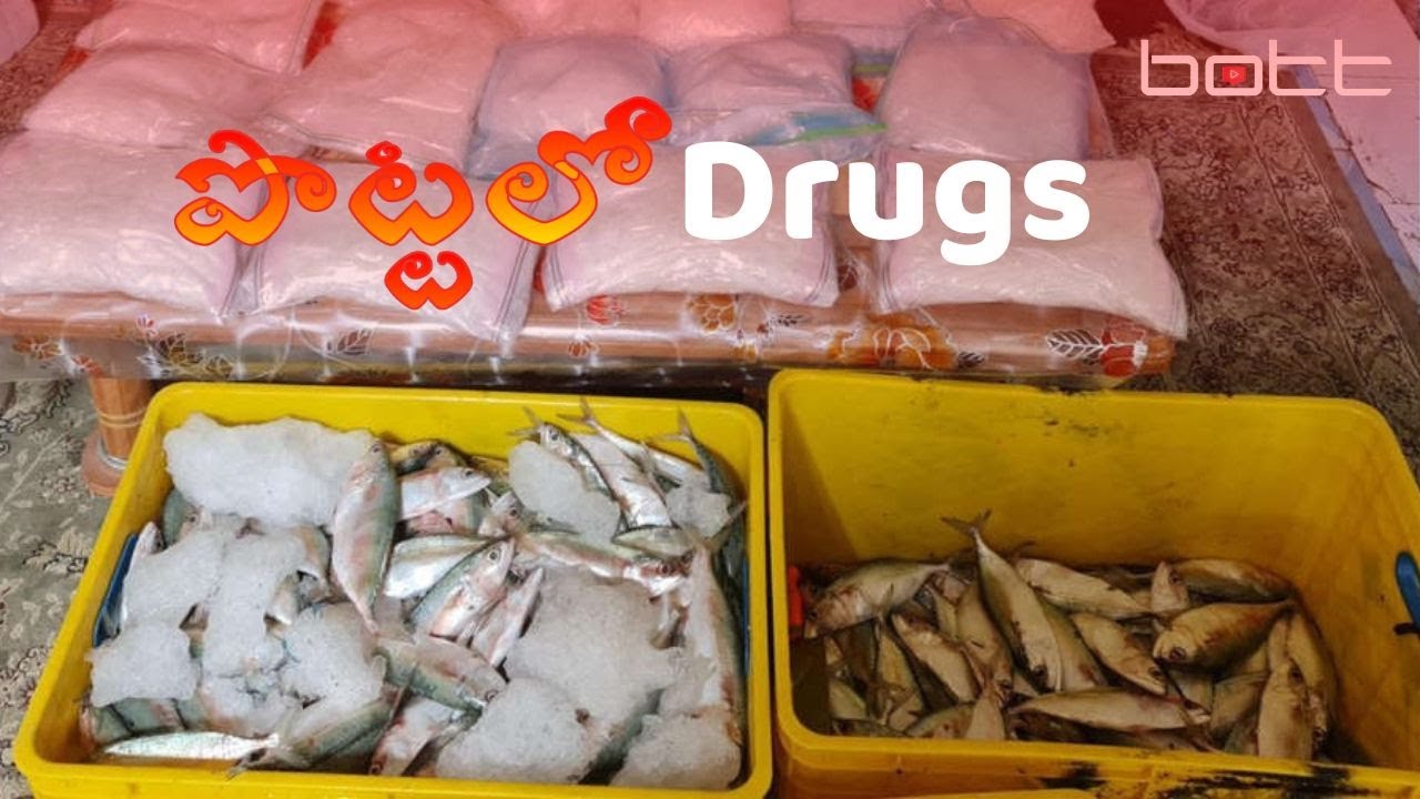 Drug Smuggling in fish - YouTube