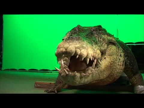 Creating the mechanical crocodile for 'Rogue'
