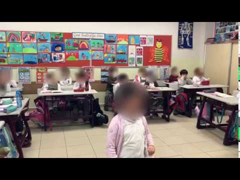WhatsApp Video 2019 03 05 at 19 20 06