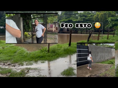 Una semana de lluvia en el jabalí/ kely y Dairi asustadas todo se está llenando sin poder asear nada