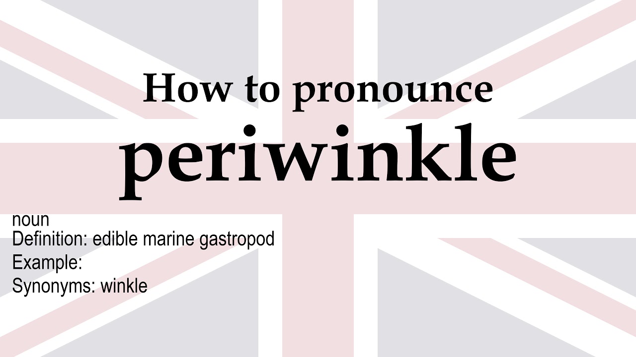How to pronounce 'periwinkle' + meaning - YouTube