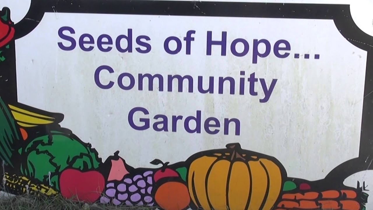 TCF 333-Danielle Burney-Homeless Package - YouTube