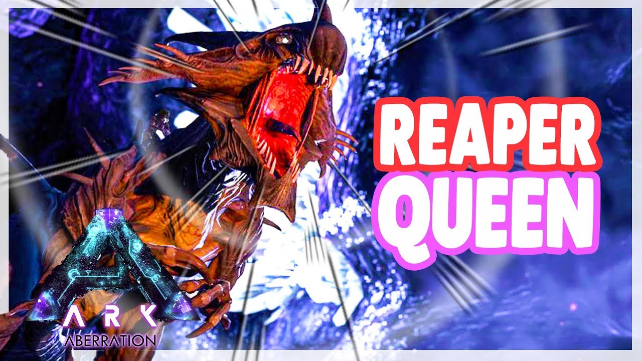 PERNAMPAKAN 2x REAPER QUEEN 😭 - YouTube