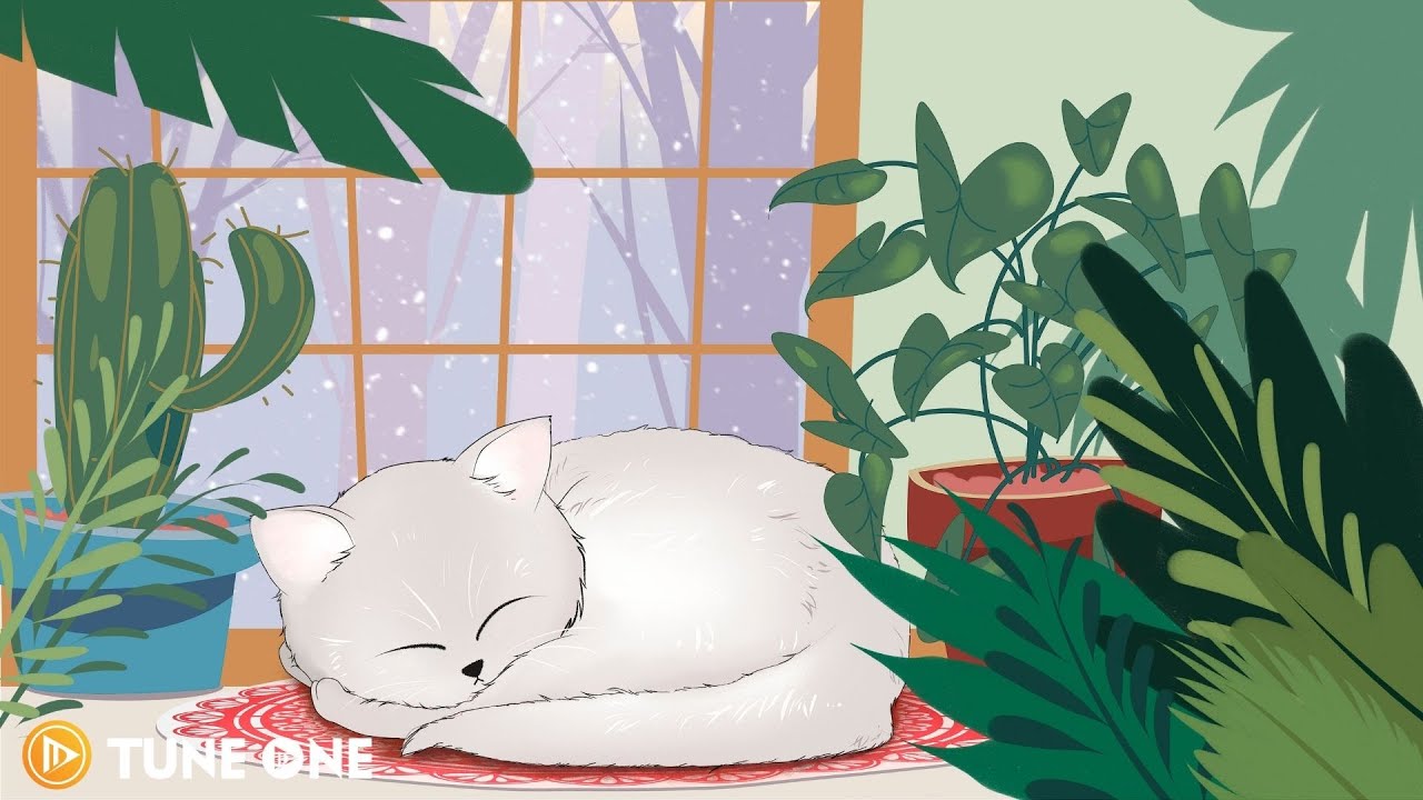 Cat is sleeping small 🐈 Lofi with Cat ♪ Lofi hip hop mix / Cafe music ...
