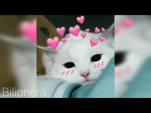 Bilmediğiniz şarkı isimleri ( uzun versiyon )